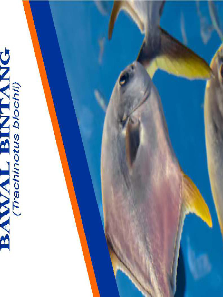 Desain Poster Ikan 4 | PDF
