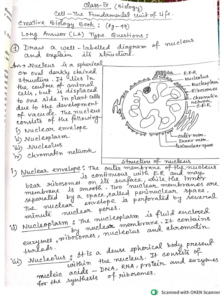 Class Ix Cell The Fundamental Unit of Life | PDF