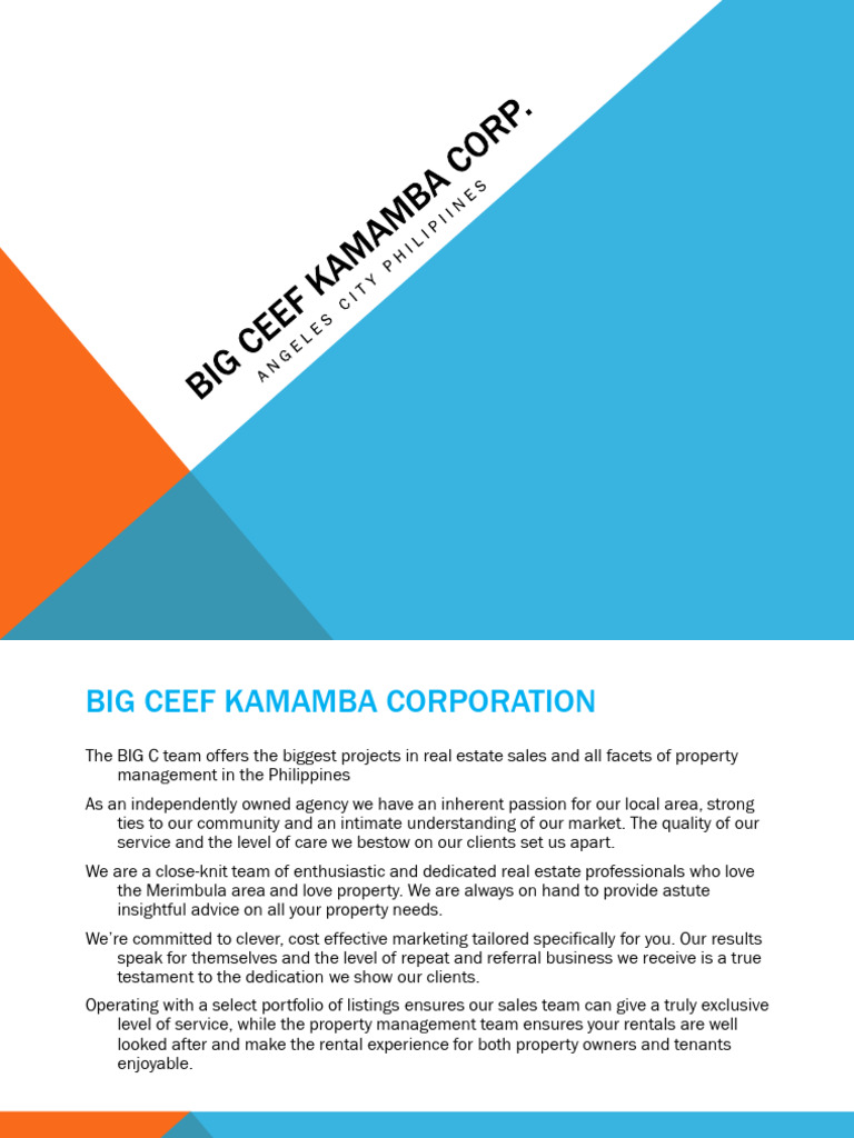Big Ceef Kamamba Corp Profile | PDF | Business | Economies