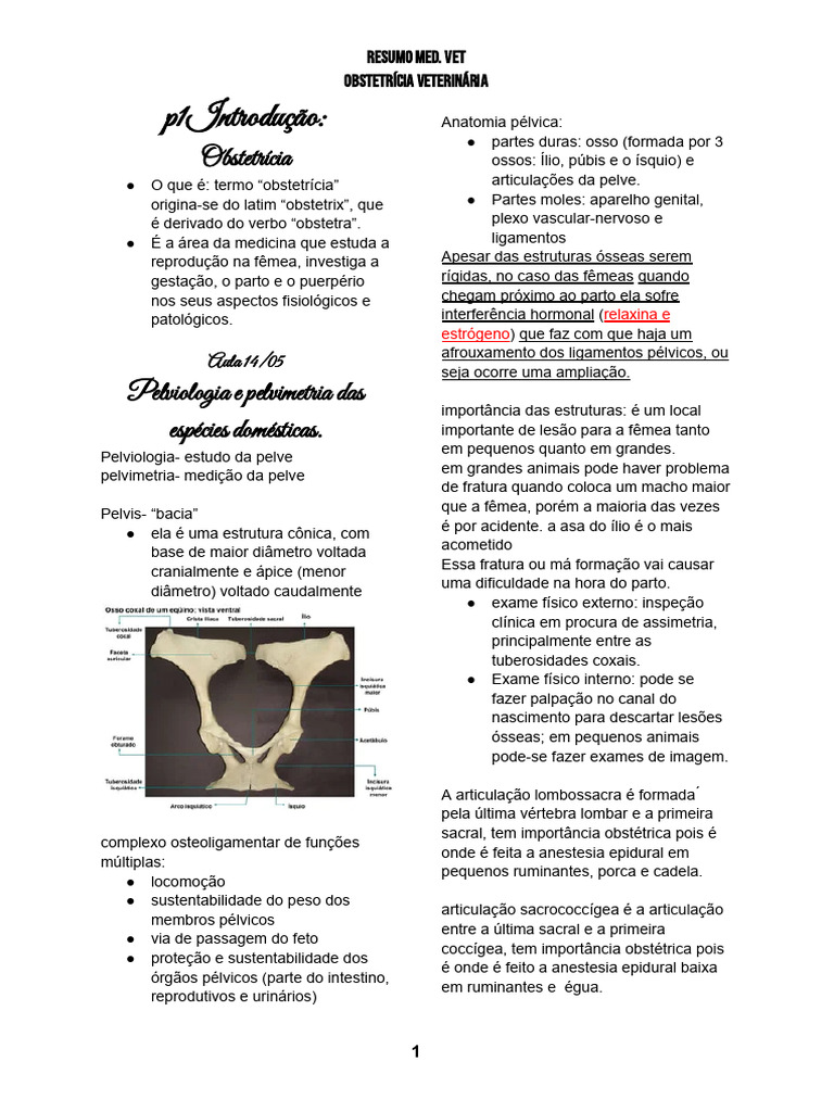 Obstetrícia Veterinária: Pelviologia e Gestação | PDF | Placenta | Pélvis