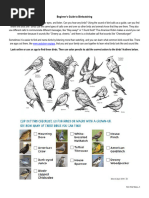 Backyard Birdwatching: This Field Journal Belongs To | PDF | Sports ...