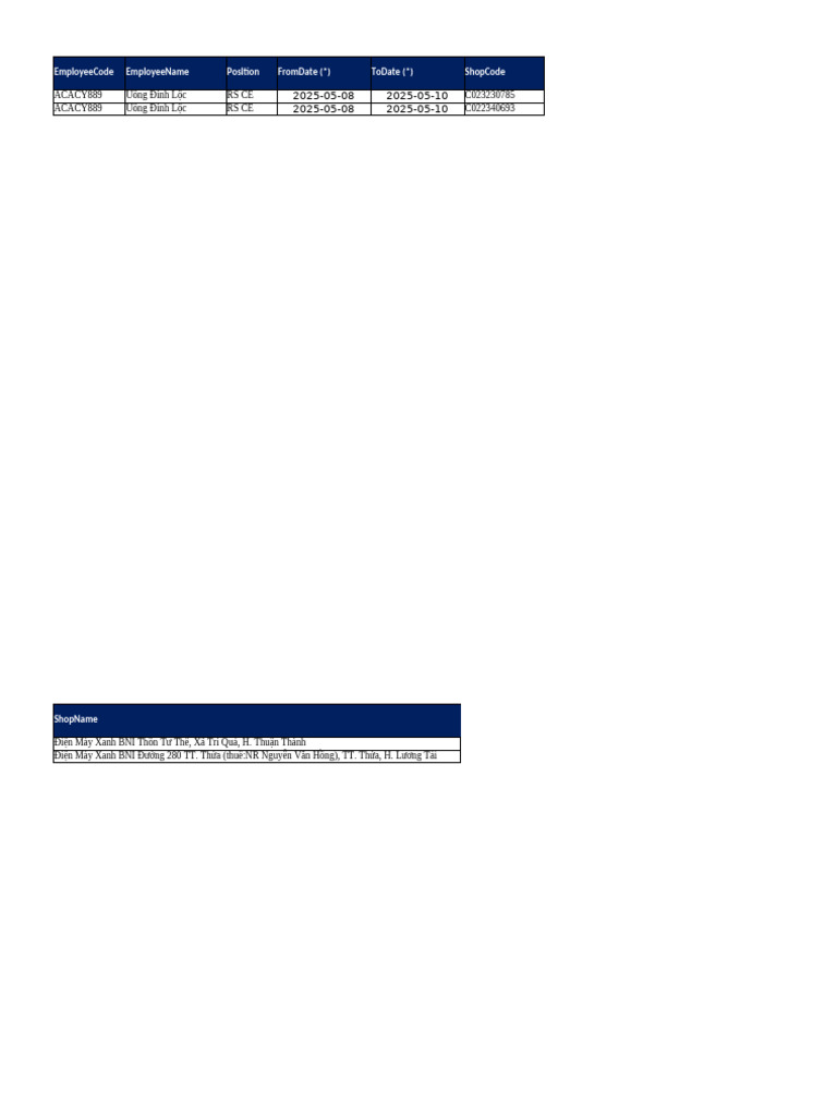 Loc Template Biztrip RS CE T05.2025 | PDF