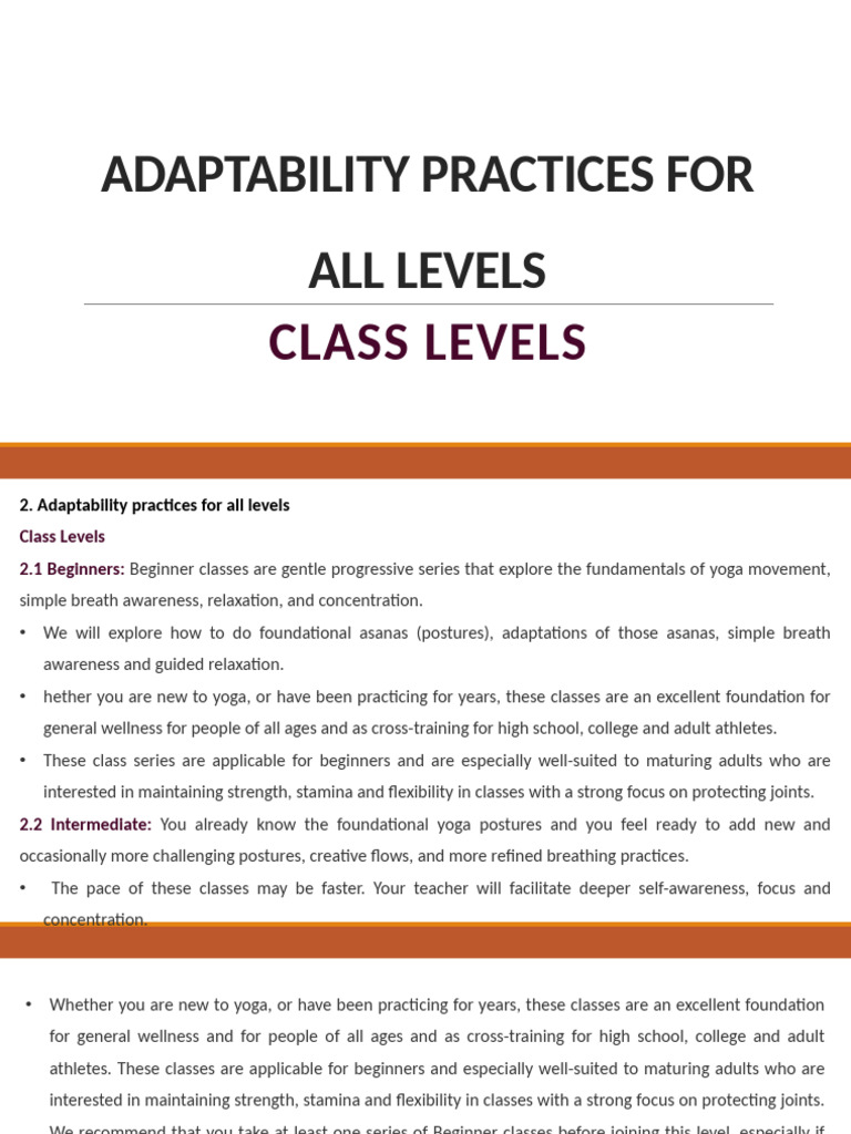 2b1.adaptability Practices For All Levels | PDF