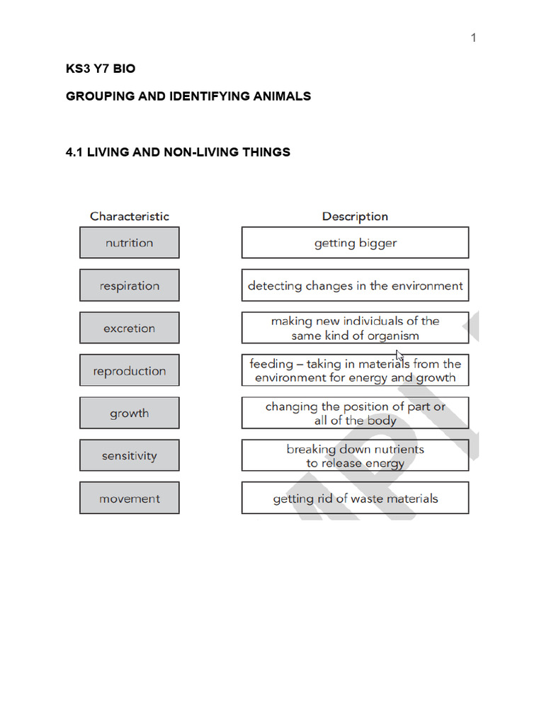 Y7 Bio Grouping and Identifying Animals Notes | PDF