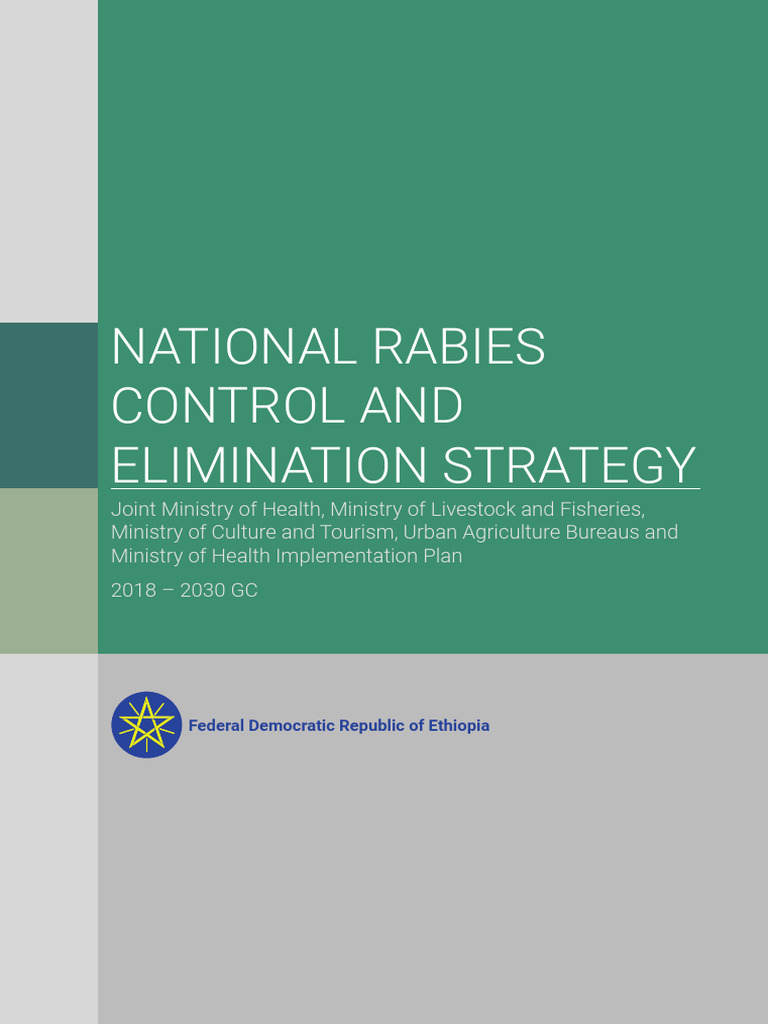RabiesStrategy One Health | PDF | Rabies | Vaccines