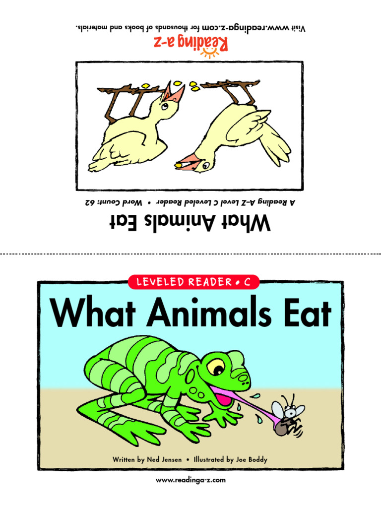 (Raz阅读) Level c | PDF