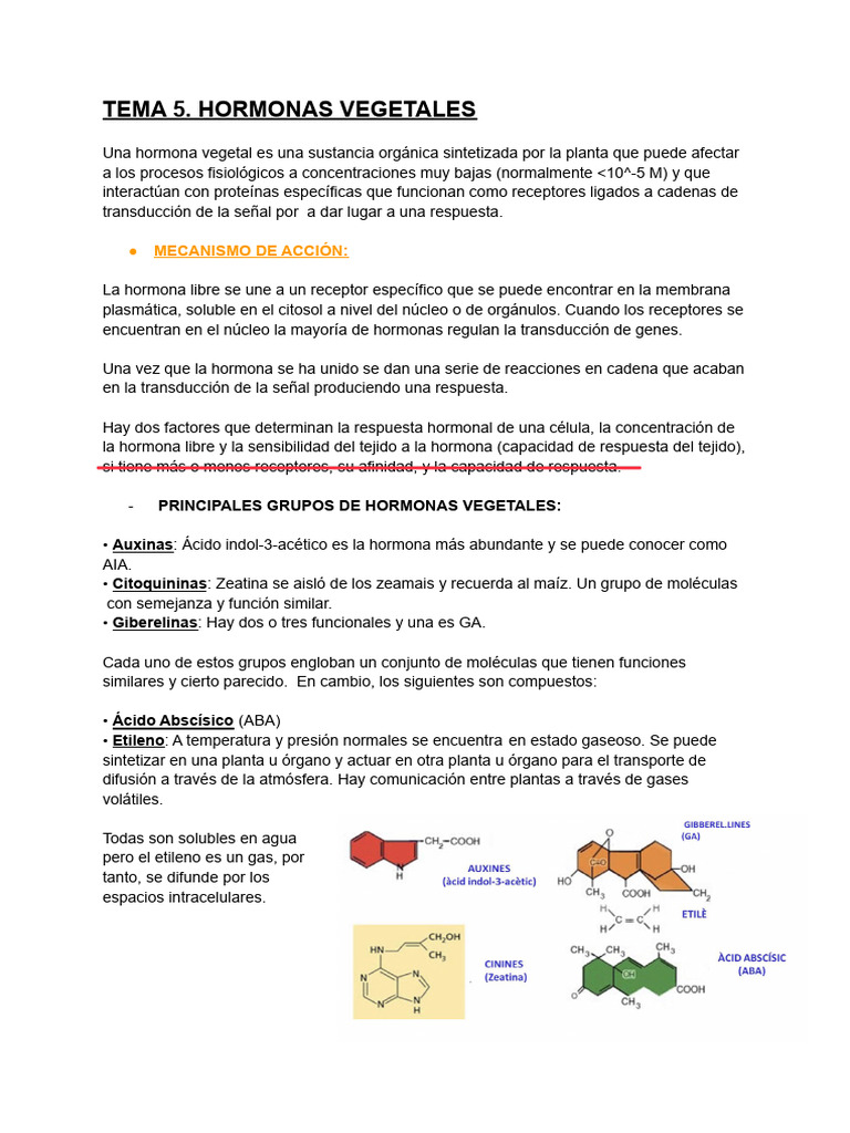 Hormonas Vegetales | PDF | Hormona Vegetal | Biología