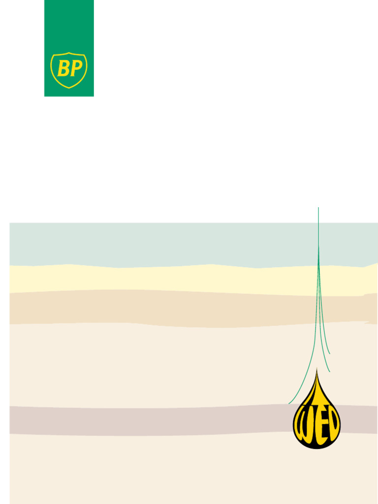 Near Wellbore Performance Manual WEO-X23 | PDF | Petroleum Reservoir ...