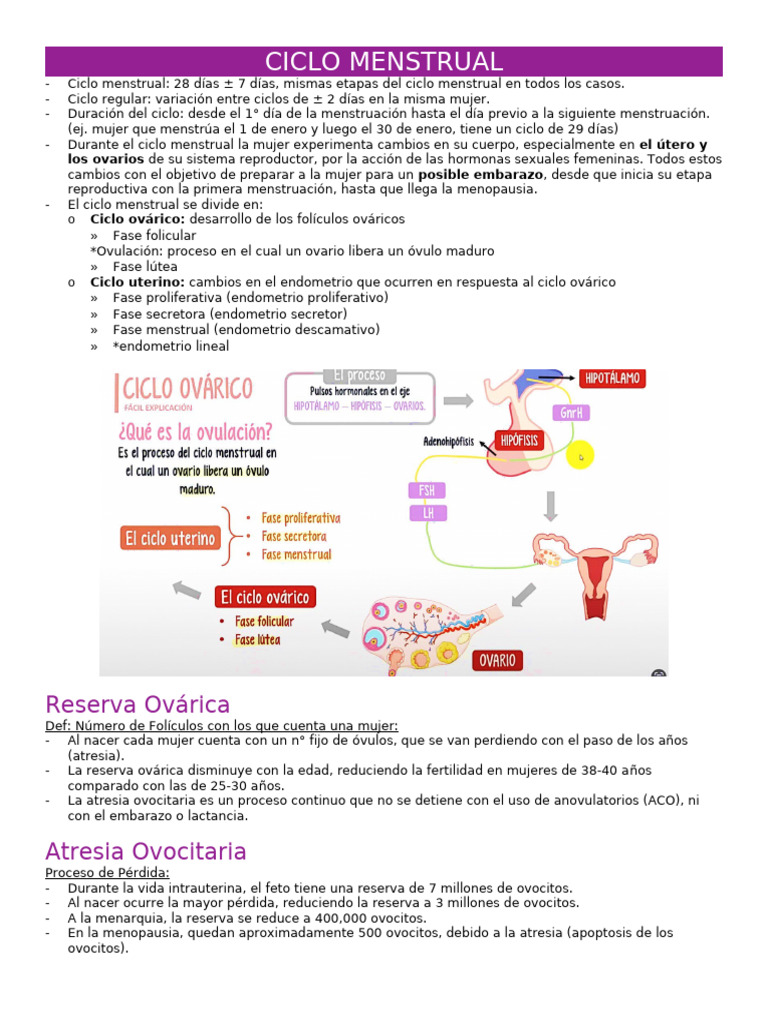 Ciclo Menstrual | PDF | Ciclo menstrual | Hormona luteinizante