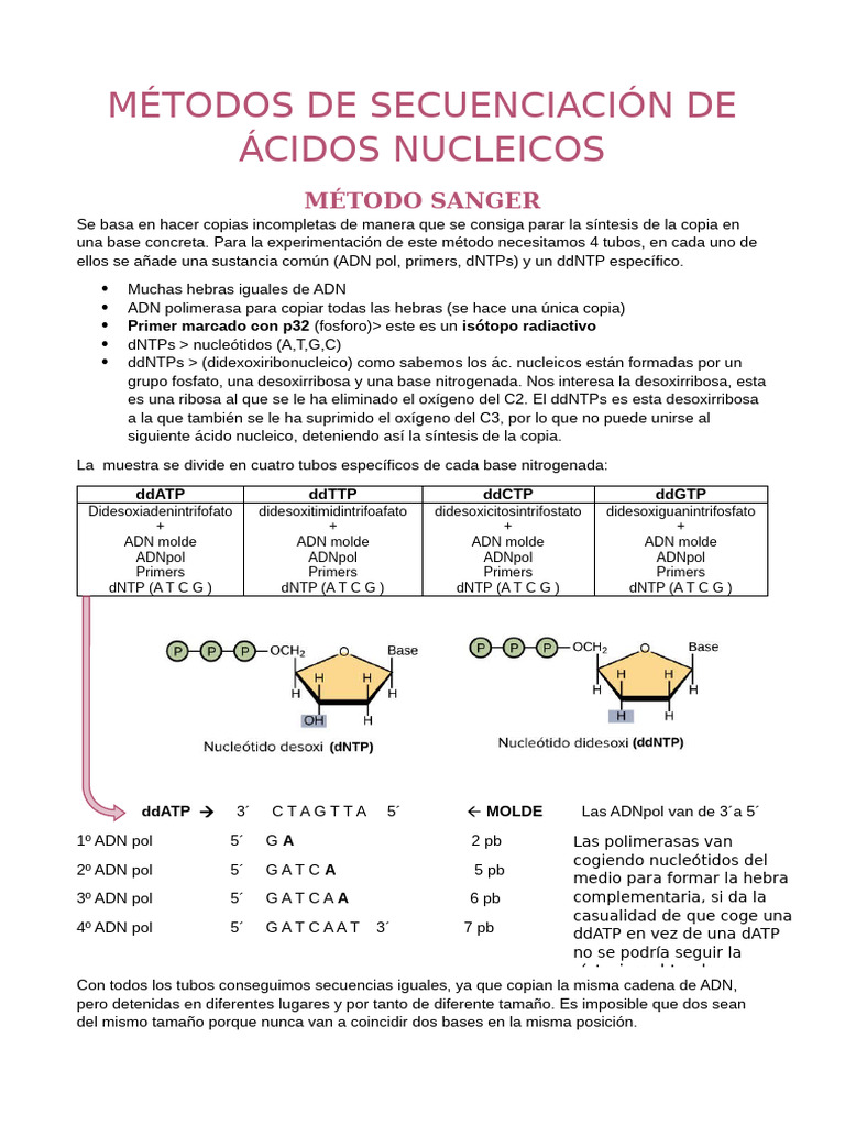 2-Métodos de Secuenciación de Ácidos Nucleicos | PDF | Secuencia ADN | Reacción en cadena de la ...