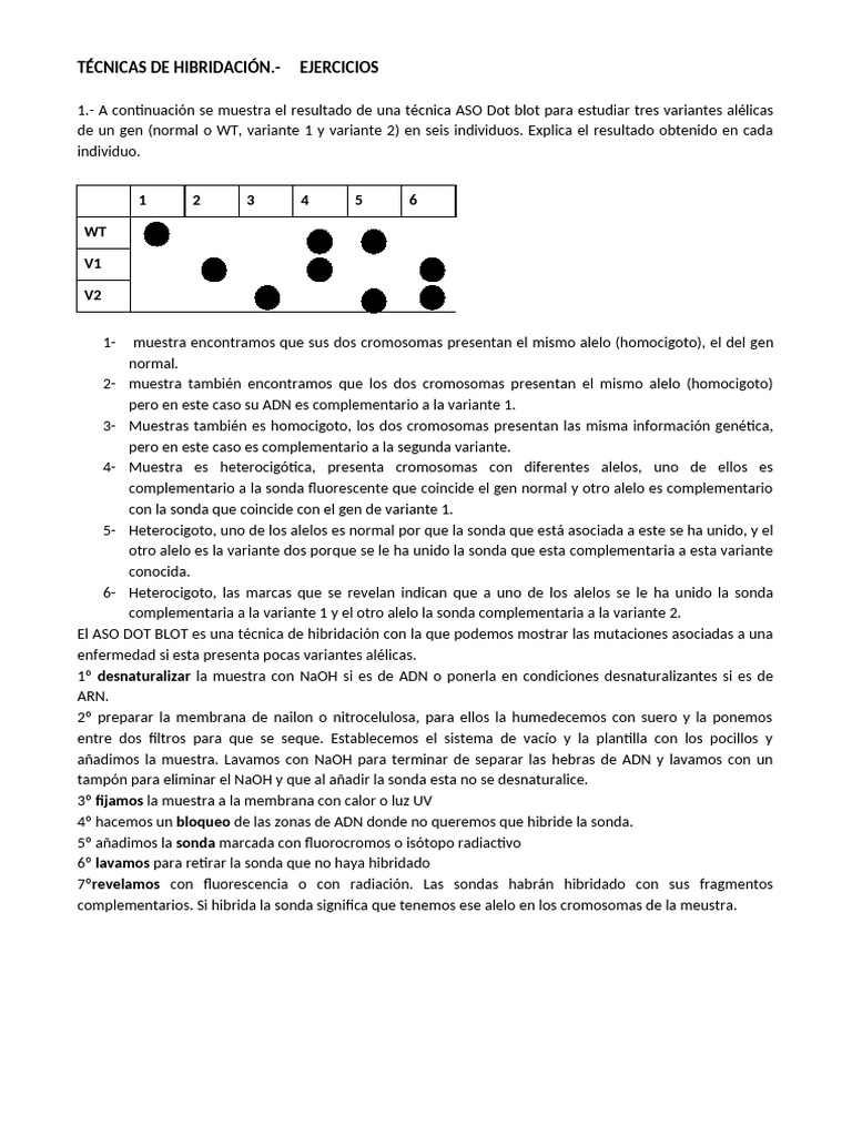T6 - Ejercicios | PDF | Hibridación de ácido nucleico | Northern Blot