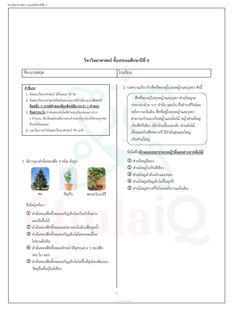 TEDET2567 Science G4 | PDF