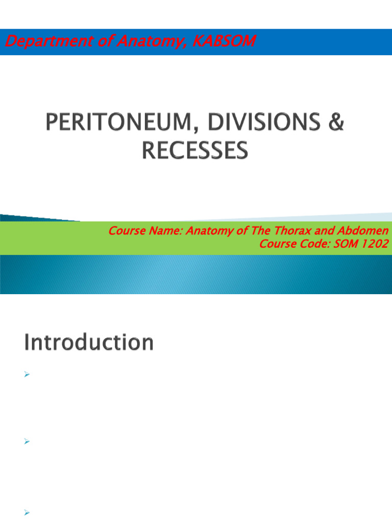 Overview of Peritoneal Recesses | PDF | Peritoneum | Abdomen