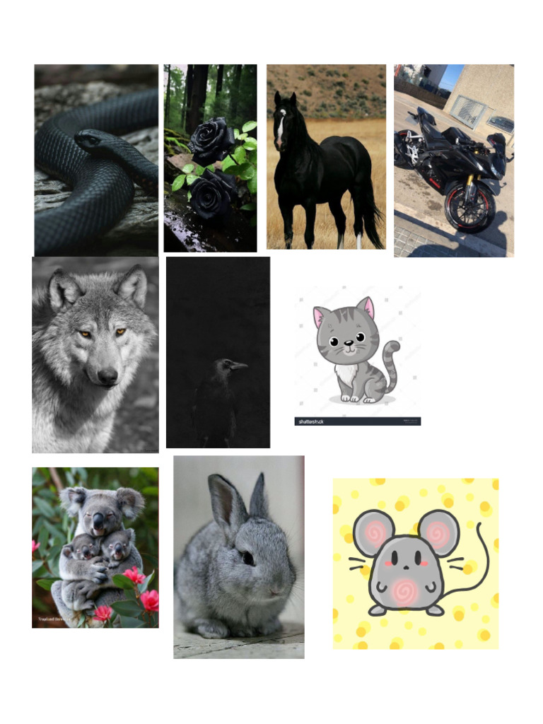 Imagenes Negras | PDF
