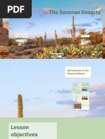 Sonoran Desert Ecosystem Overview | PDF | Food Web | Ecosystem