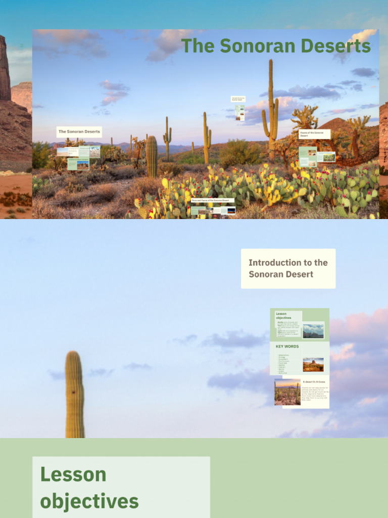 Sonoran Deserts | PDF