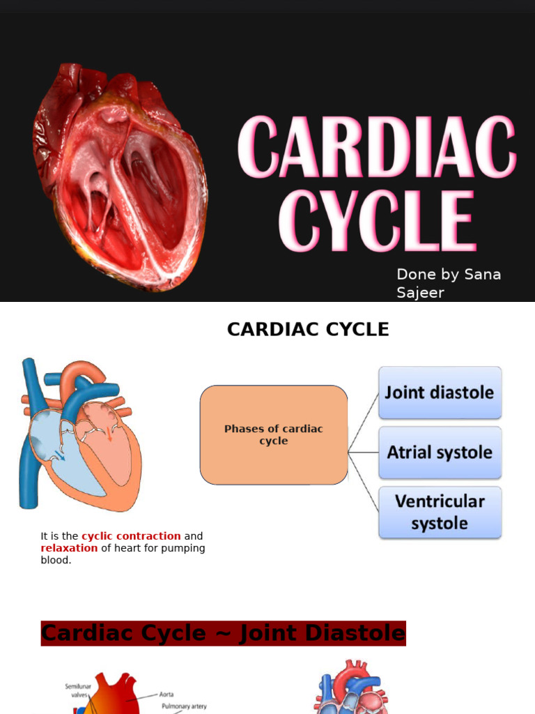Cardiac Cycle | PDF