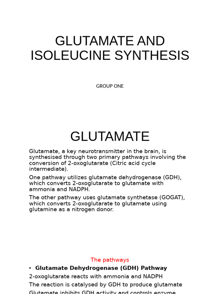 Glutamate and Isoleucine Synthesis | PDF | Biosynthesis | Glutamic Acid