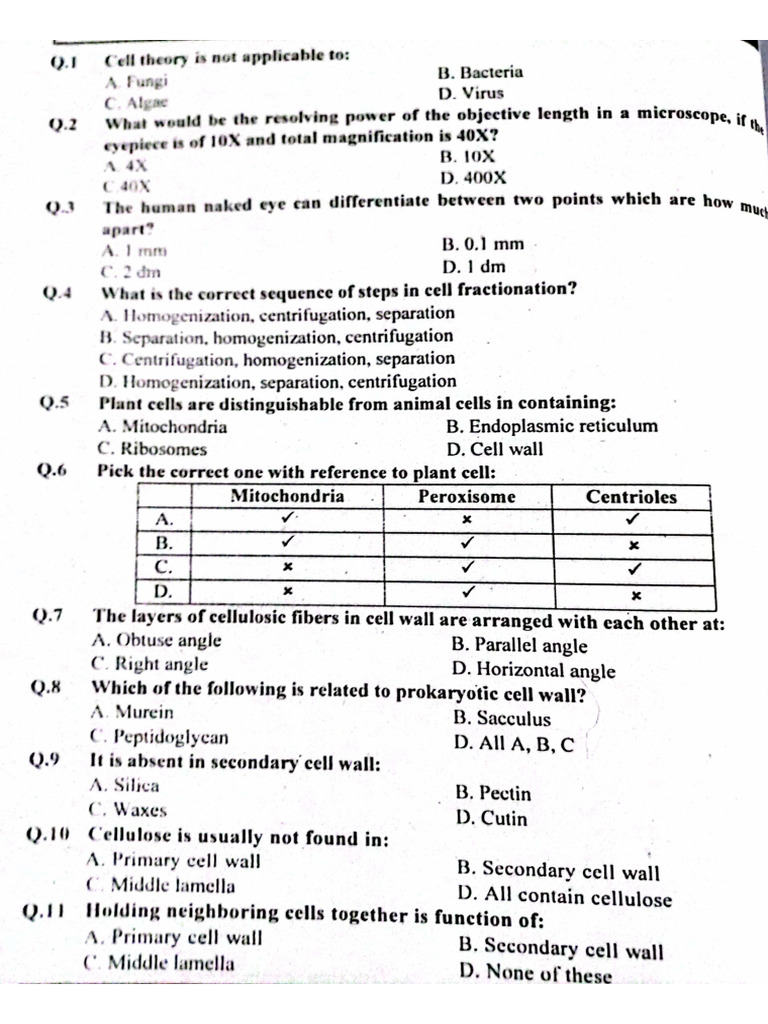 Cell Structure and Function Practice Material | PDF