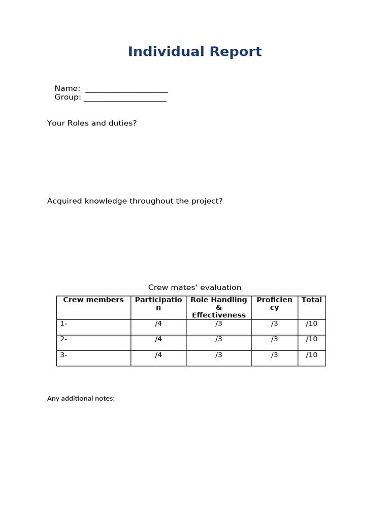 Individual Report Pdf