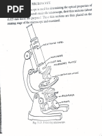 Petrographic Microscope-Components and Techniques | PDF | Optics ...