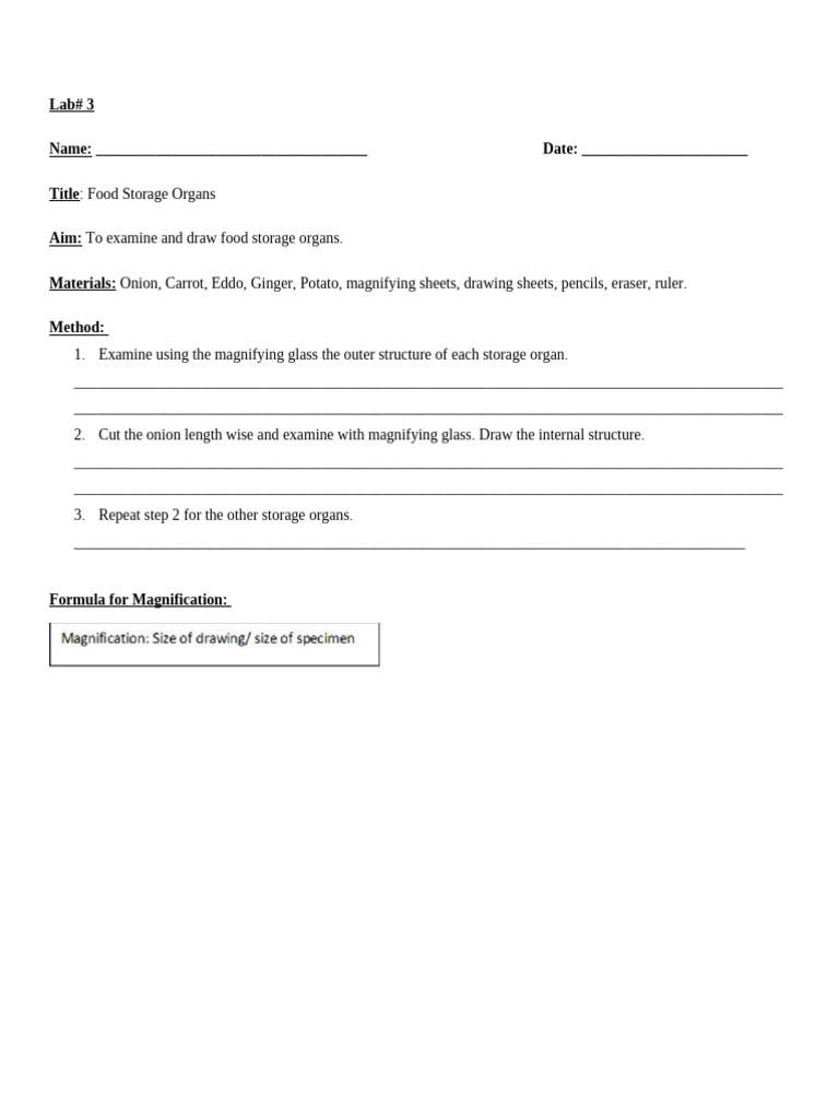 Food Storage Organs Practice Work | PDF | Foods