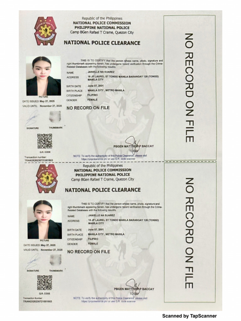 Police Clearance | PDF
