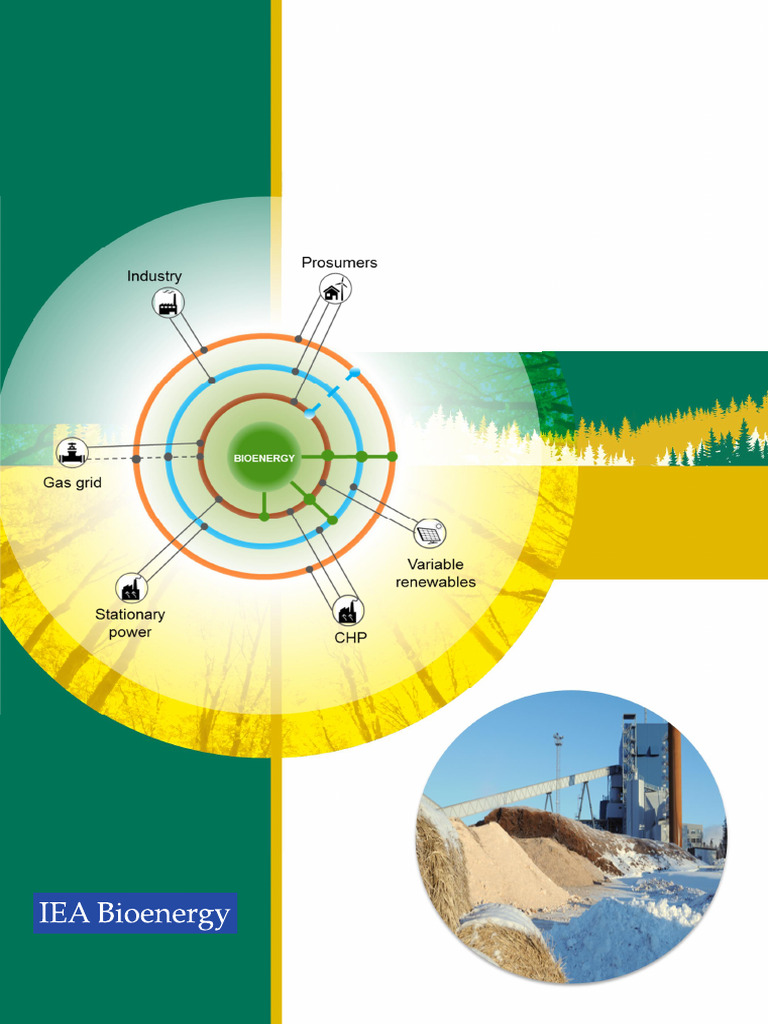 IEA Bioenergy Bio in Balancing Grid - Master FINAL | PDF | Wind Power ...