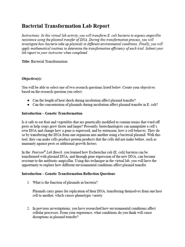 06 08 Bacterial Transformation Lab Report | PDF | Plasmid | Bacteria