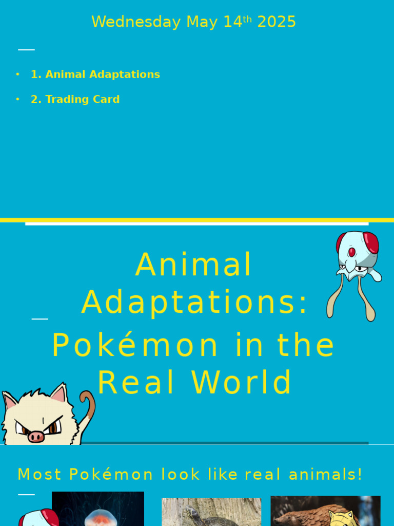 Animal Adaptations - Pokémon in The Real World | PDF | Zoology