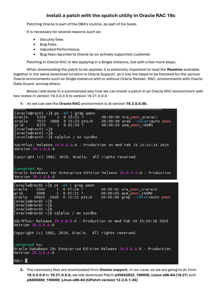 Install A Patch With The Opatch Utility in Oracle RAC 19c | PDF | Information Technology | Software
