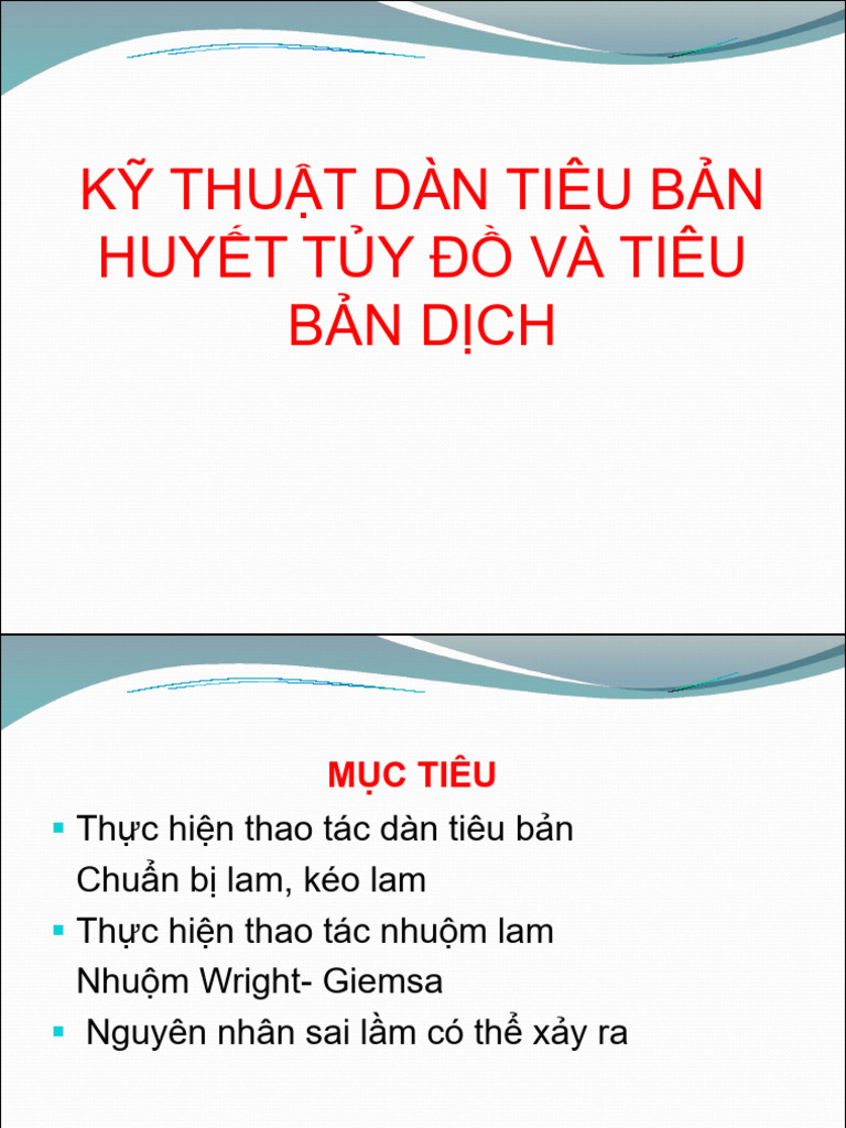 KT Dàn Tiêu B N | PDF