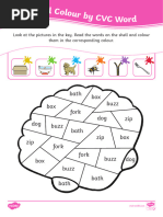 Year 8 Rocks Revision Worksheet | PDF | Rock (Geology) | Petrology