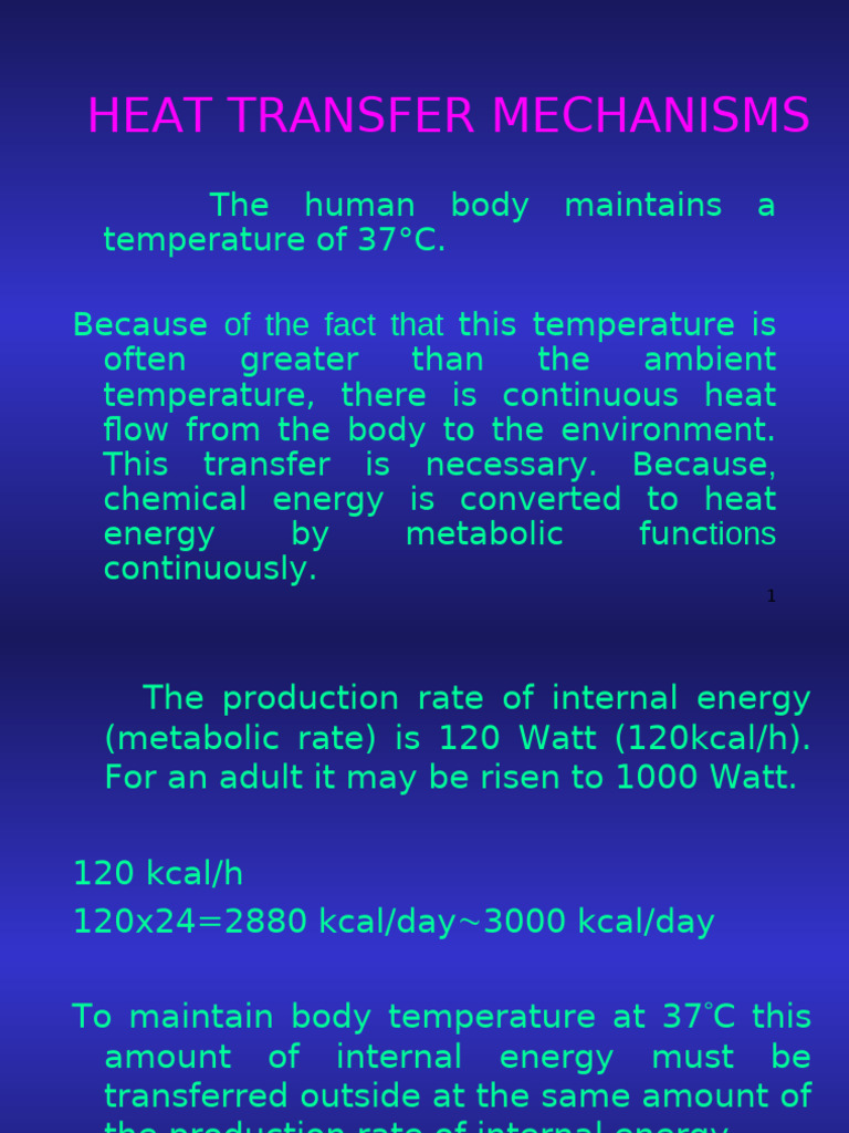 Heat Transfer Mechanisms in Humans | PDF | Heat Transfer | Heat Capacity