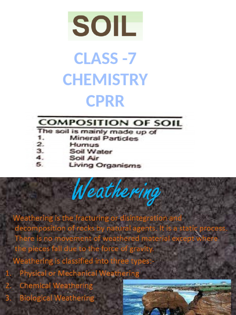 Phase-3 Class - 7 Soil | PDF