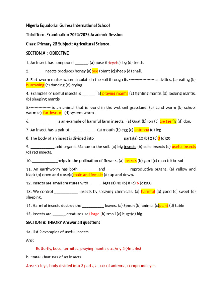 KG2 English Literacy Questions | PDF | Insects | Measurement