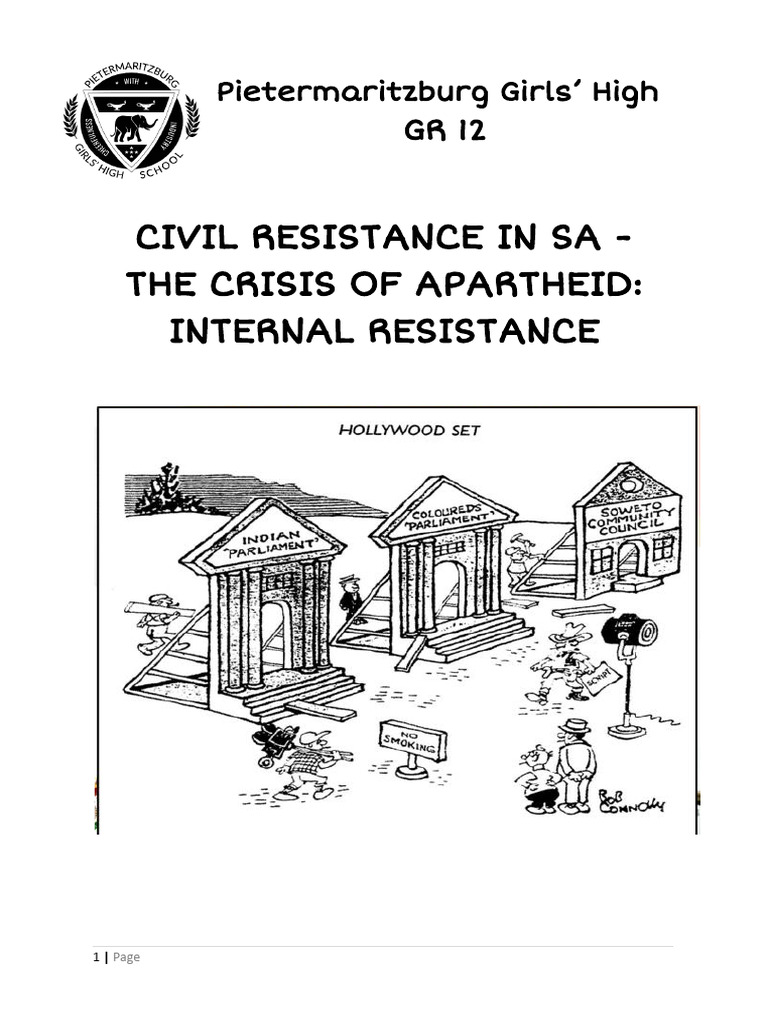 Internal Resistance to Apartheid in the 1980s | PDF | Apartheid | Cost ...