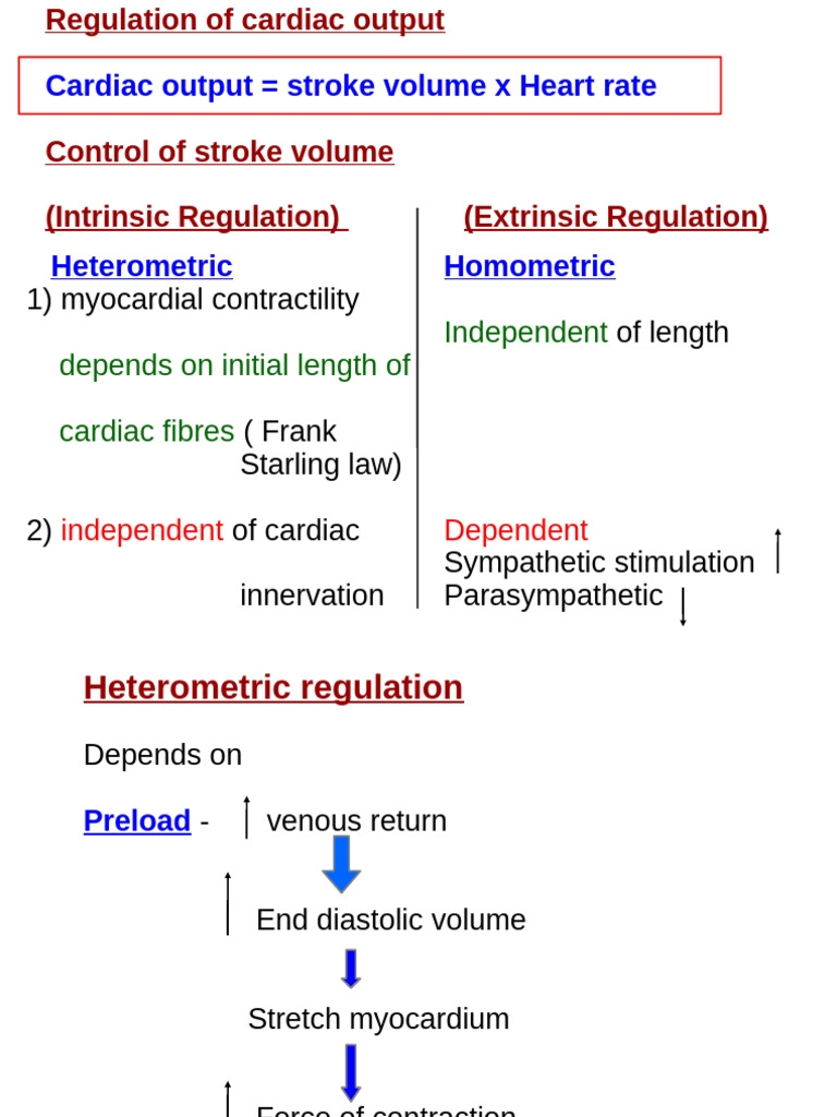 Cardic Output and HR | PDF | Heart | Vagus Nerve