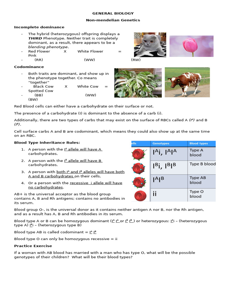 Non-Mendelian Genetics Overview | PDF | Dominance (Genetics) | Genotype