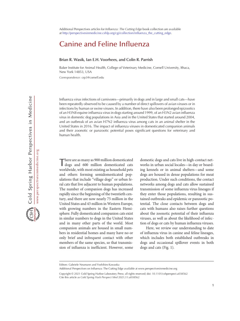 Canine and Feline Influenza Overview | PDF | Influenza | Influenza A ...