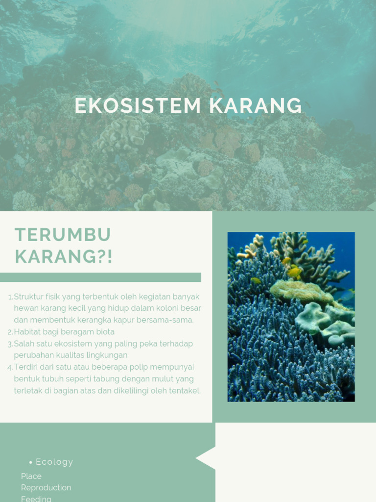 Identifikasi dan Karakteristik Terumbu Karang | PDF