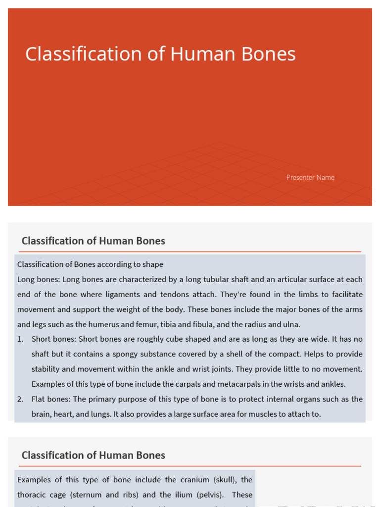 Classification of Human Bones | PDF