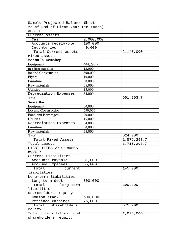 Sample Projected Balance Sheet | PDF