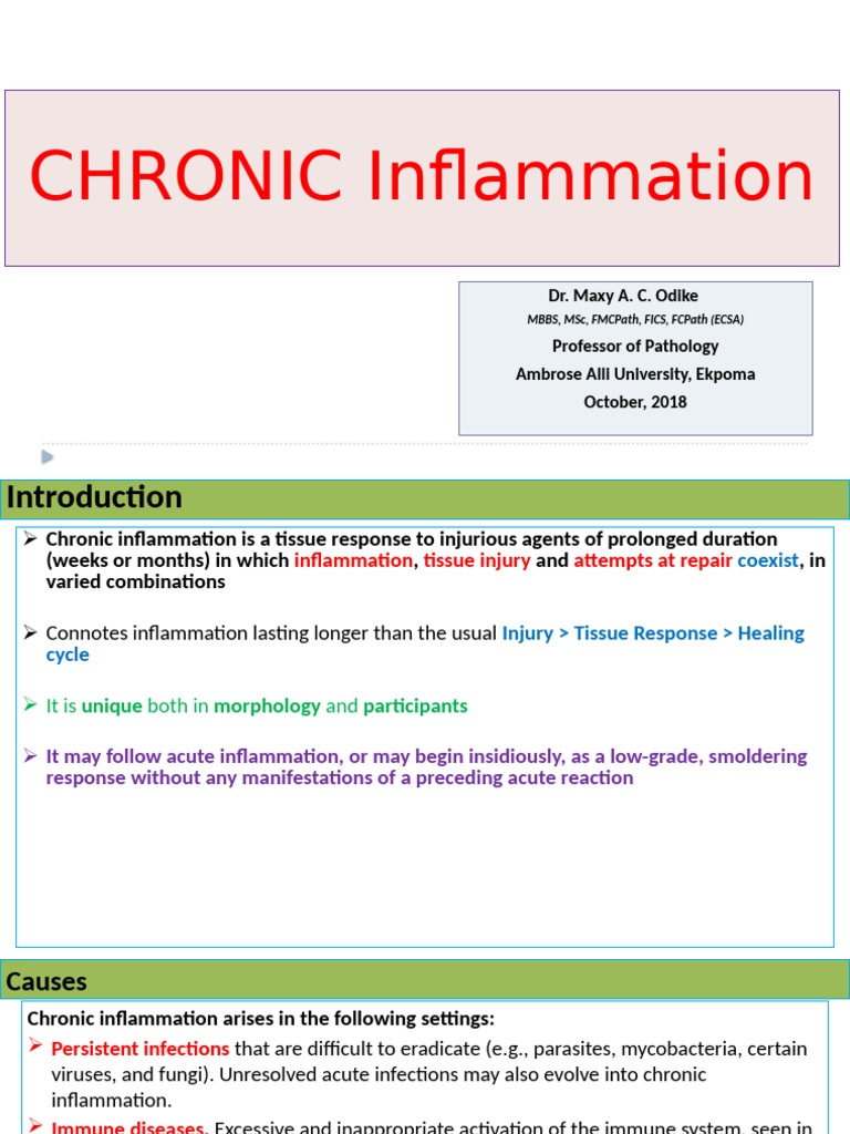 Inflammation, Wound Healing & Repair. Chronic | PDF | Inflammation ...