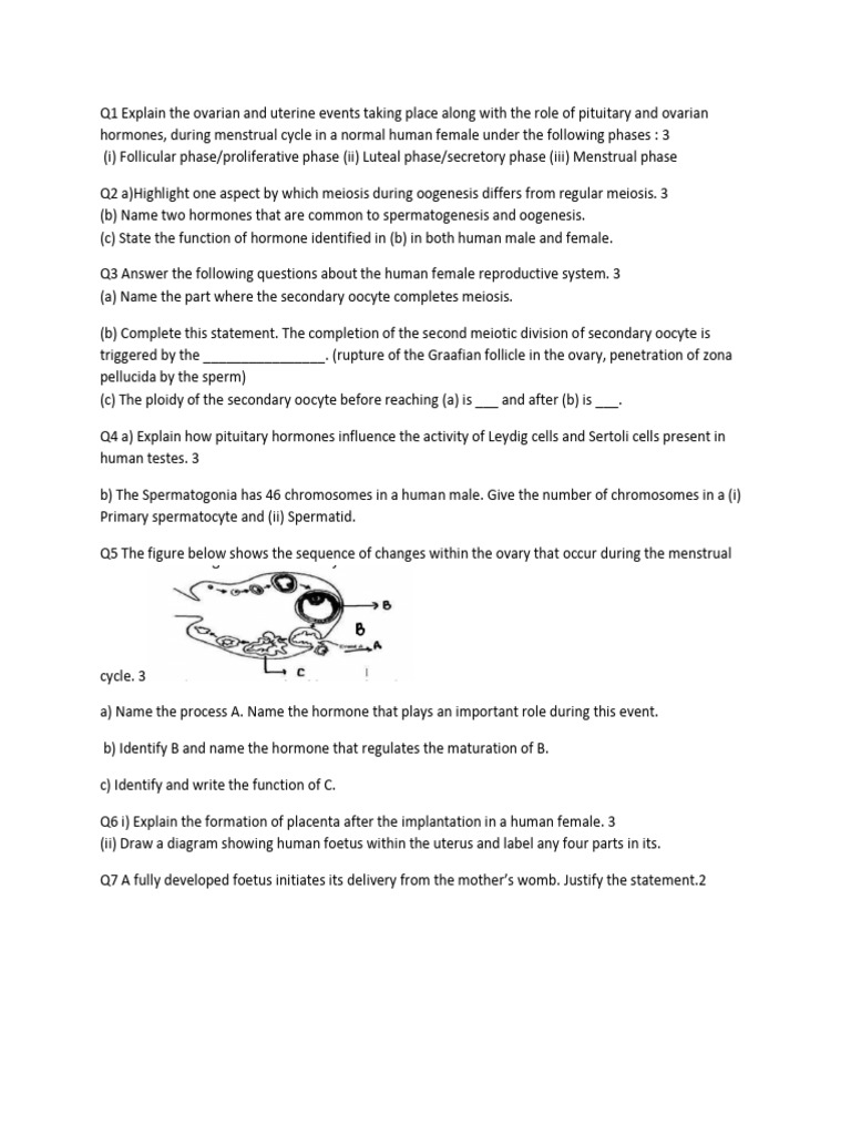 Q1 Explain the-WPS Office | PDF