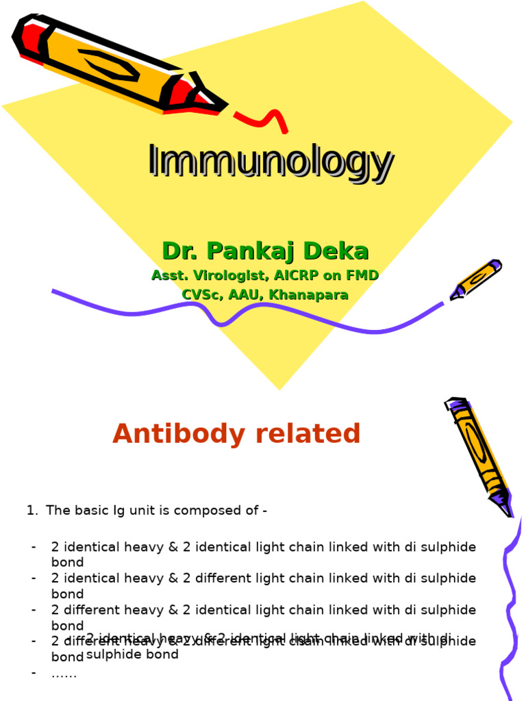 Immuno | PDF | Antibody | Immune System