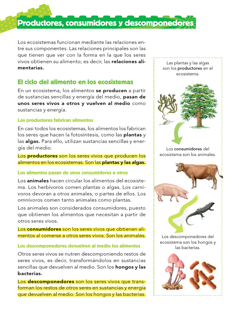 Cn3 u04 Productores Consumidores | PDF