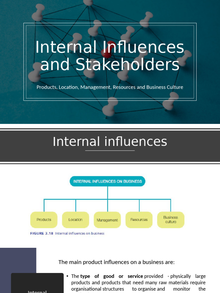 1.3.8. 1.7 Internal Influences and Stakeholders | PDF | Stakeholder ...