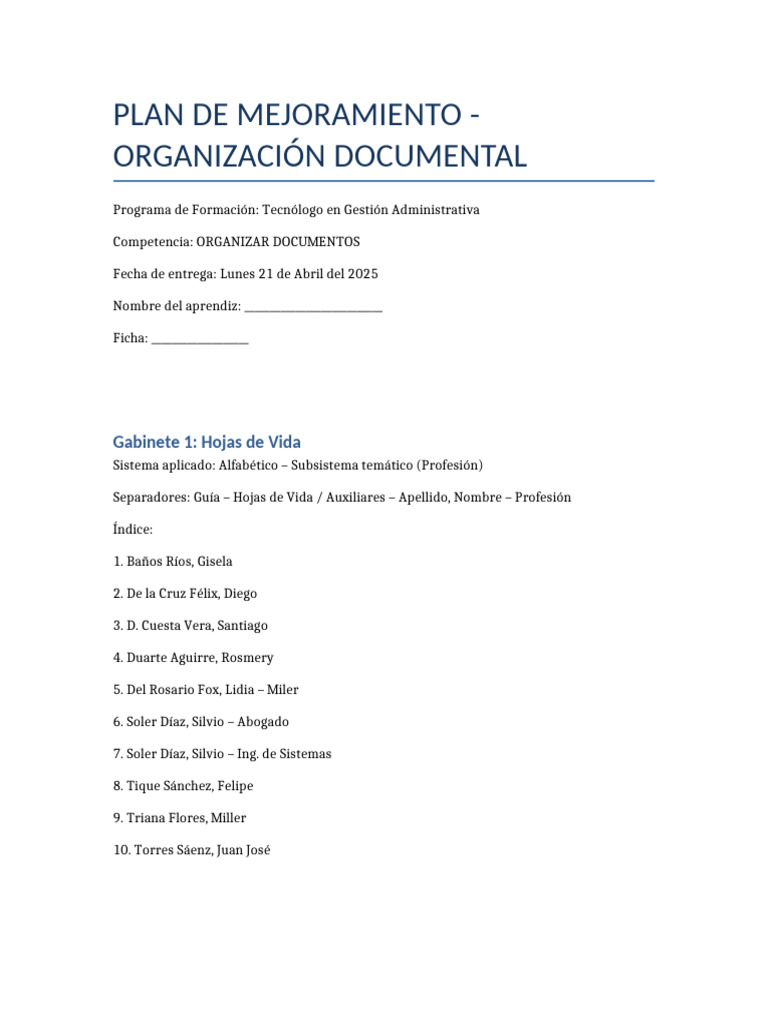 Plan Mej Organizar Documentos Formato Completo | PDF | Contabilidad