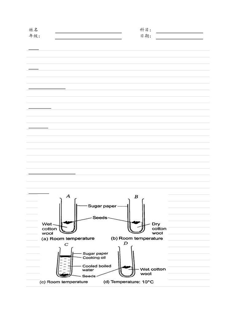 Experiment 8 Seed Germination (1) | PDF